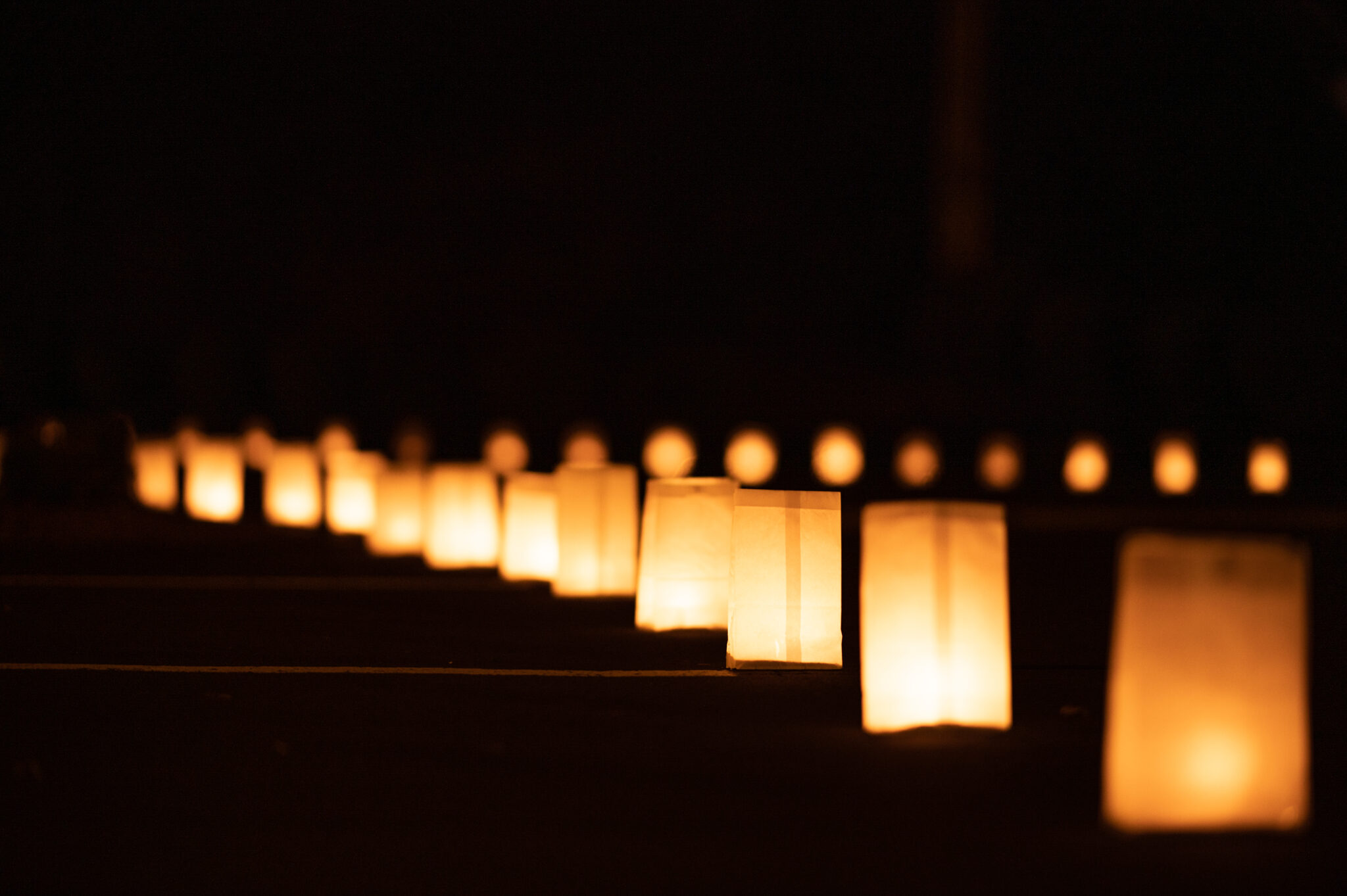 Light Up A Life Celebration - Scattering Joy | Carolina Caring